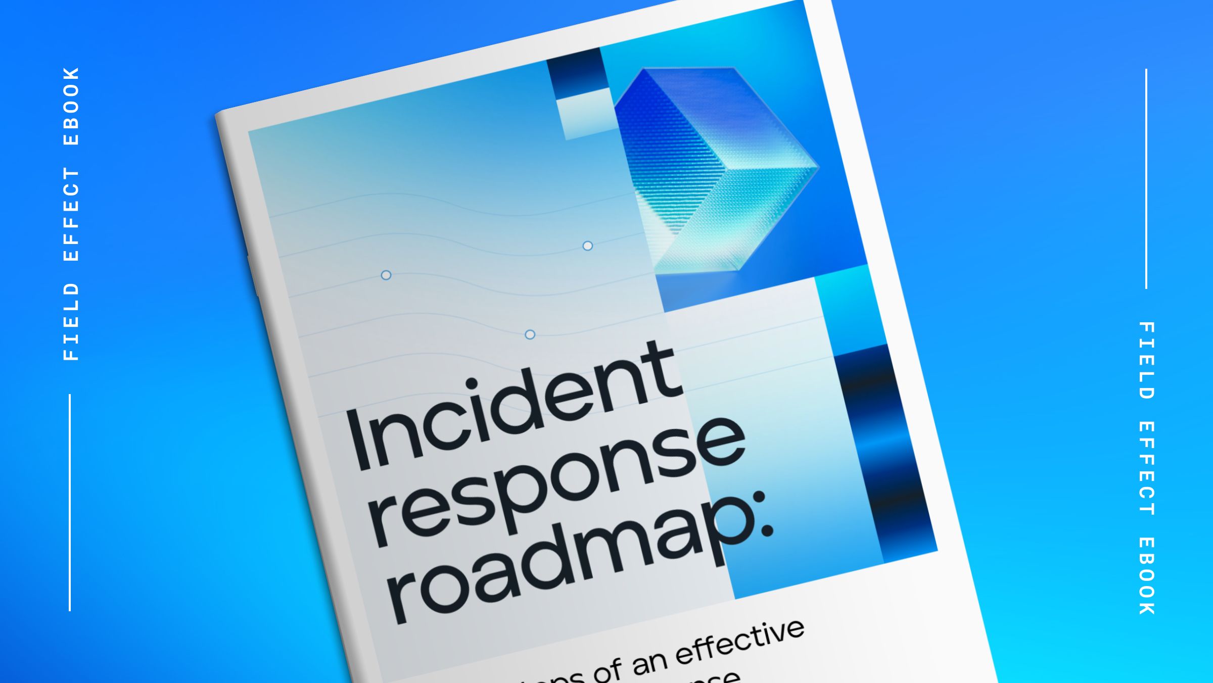 Incident Response Case Study | Field Effect